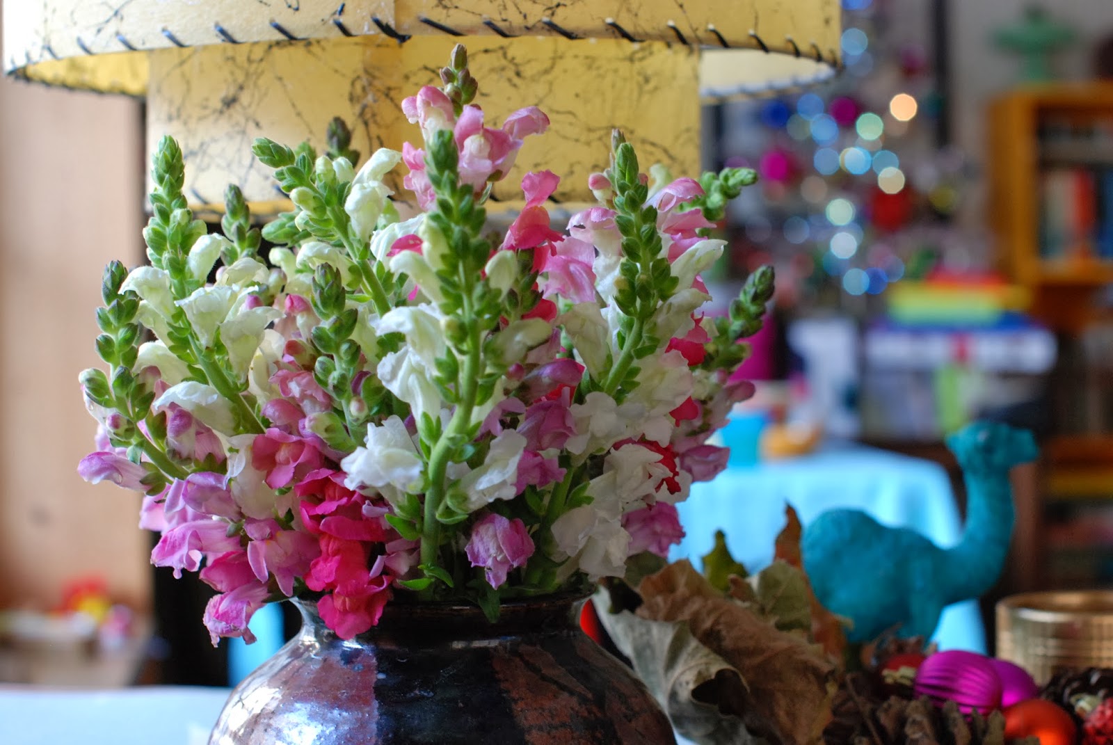 Spencer Alley: Talking Snapdragons