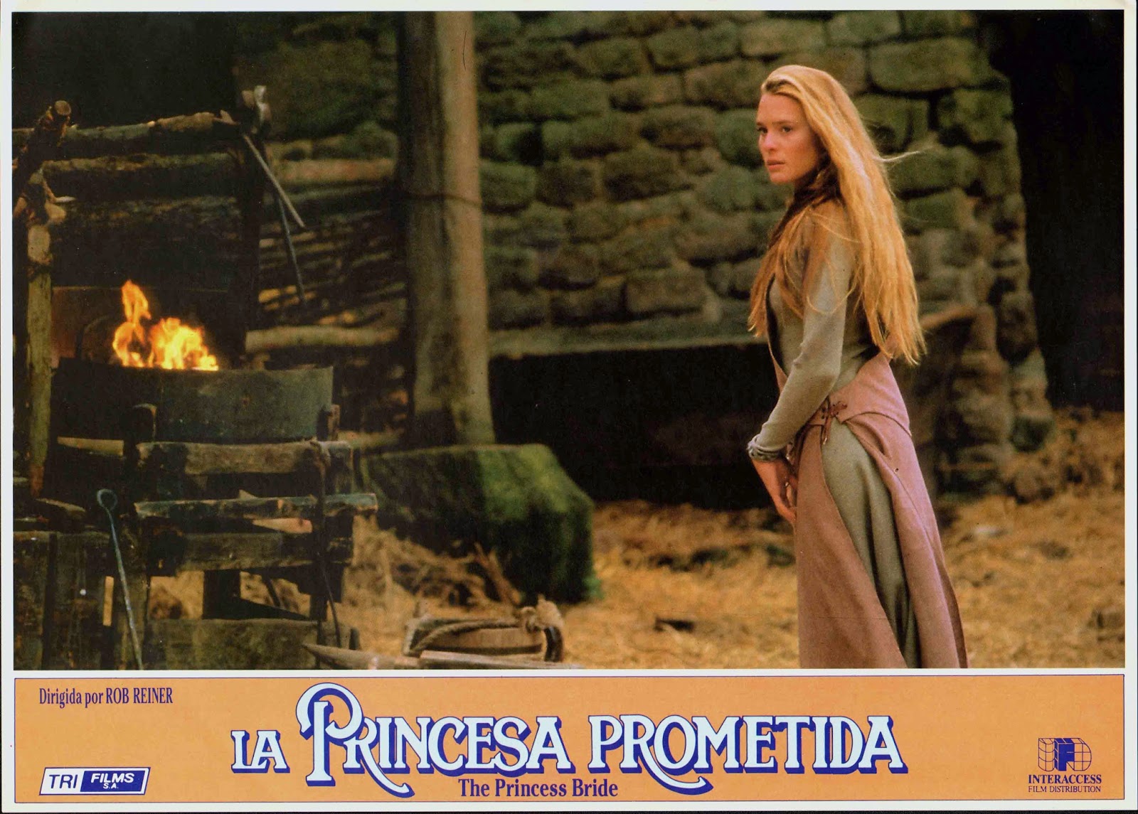 MI ENCICLOPEDIA DE CINE: 1987 - La Princesa Prometida - The Princess ...