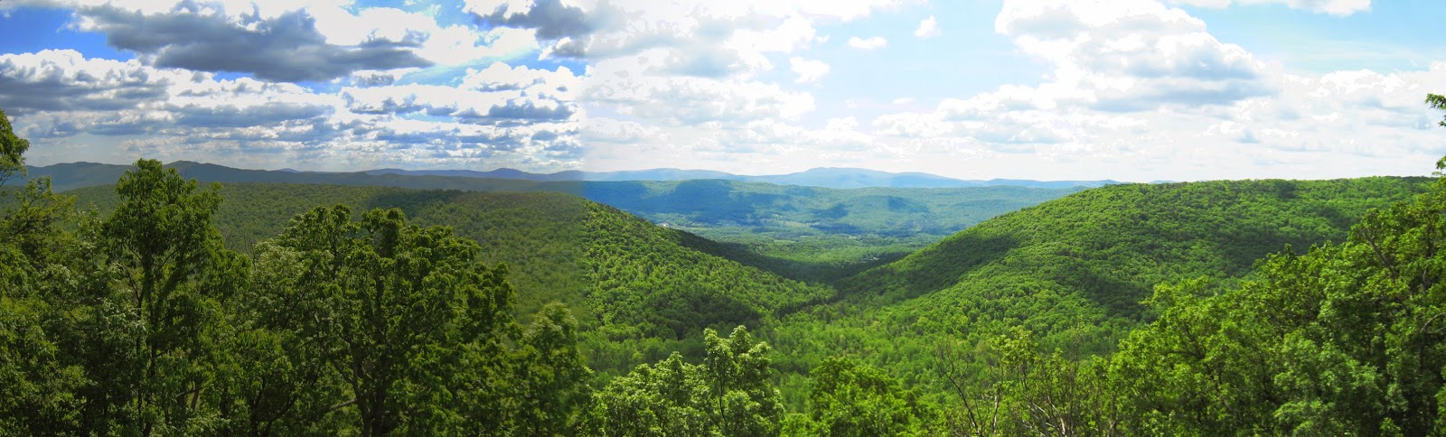 The Outsider: George Washington National Forest