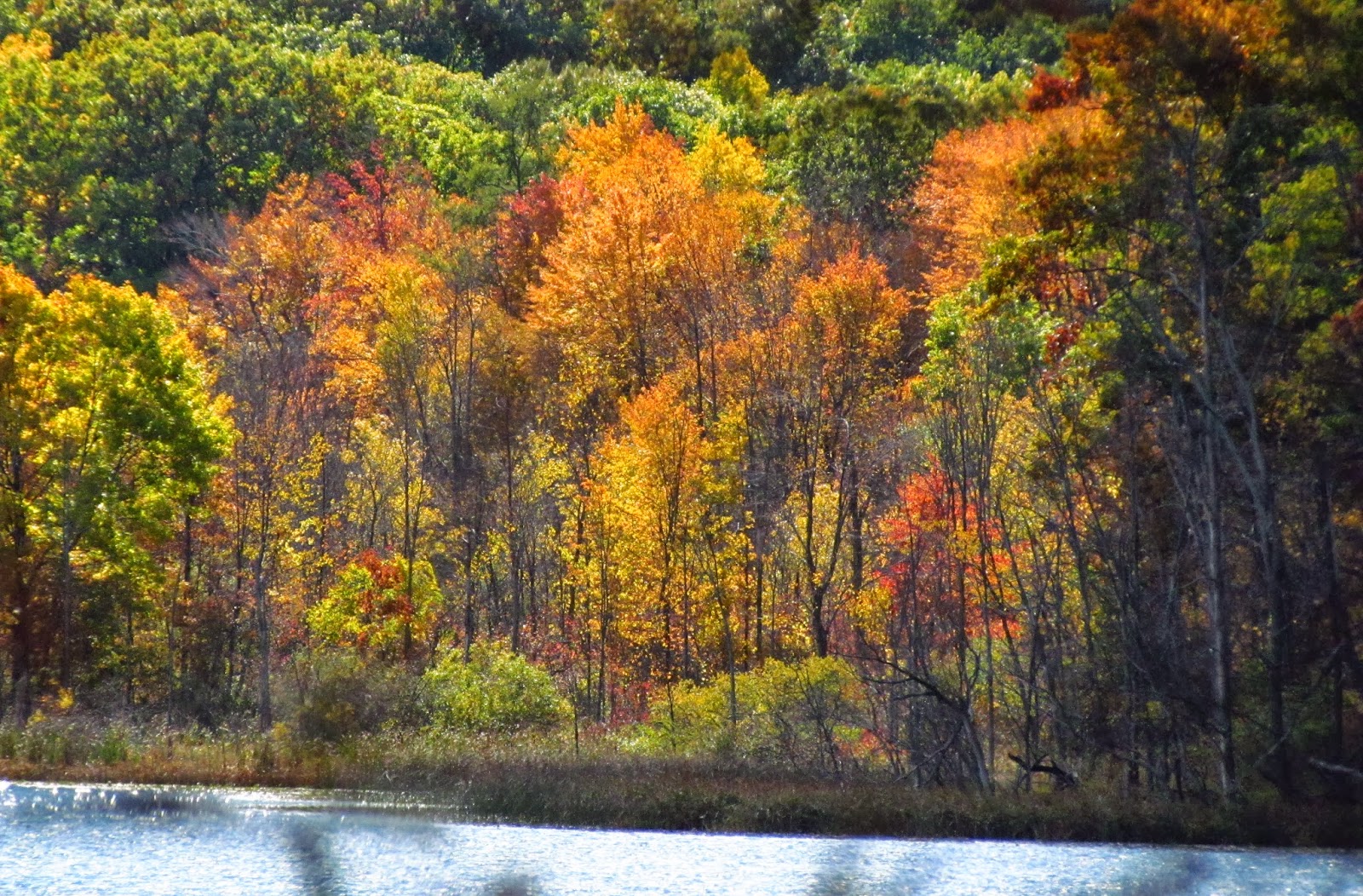 The Oakland Press Blogs: Earth's Almanac: 65 miles of trails: Hike your ...