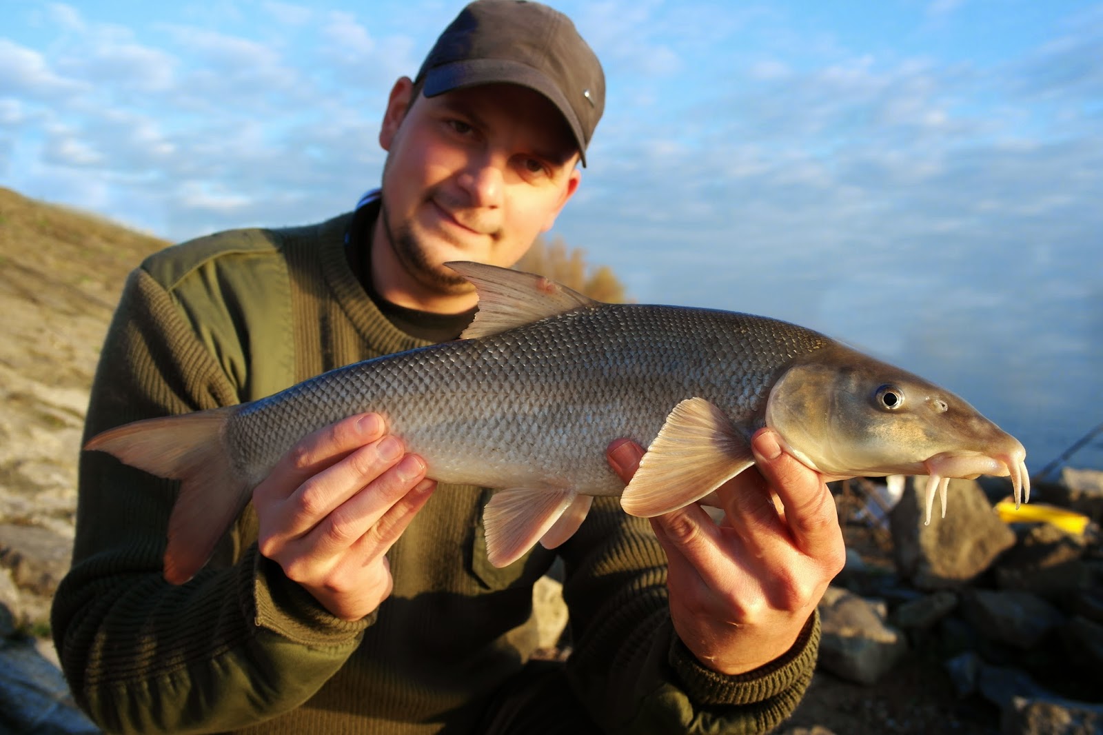 Dunai Halak Nyomában: 2016