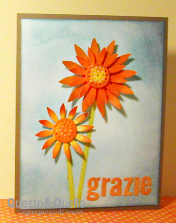 QuestoeQuello espressioni di carta: Grazie