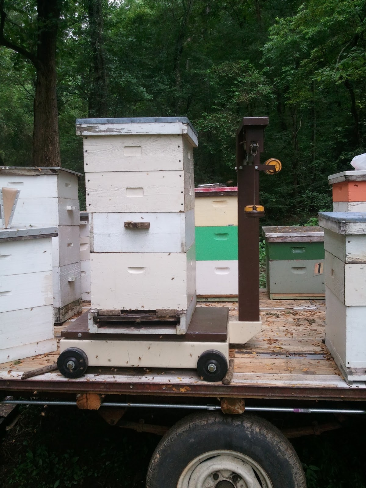 Mark's Farm Tochok: Weight scale for a bee hive