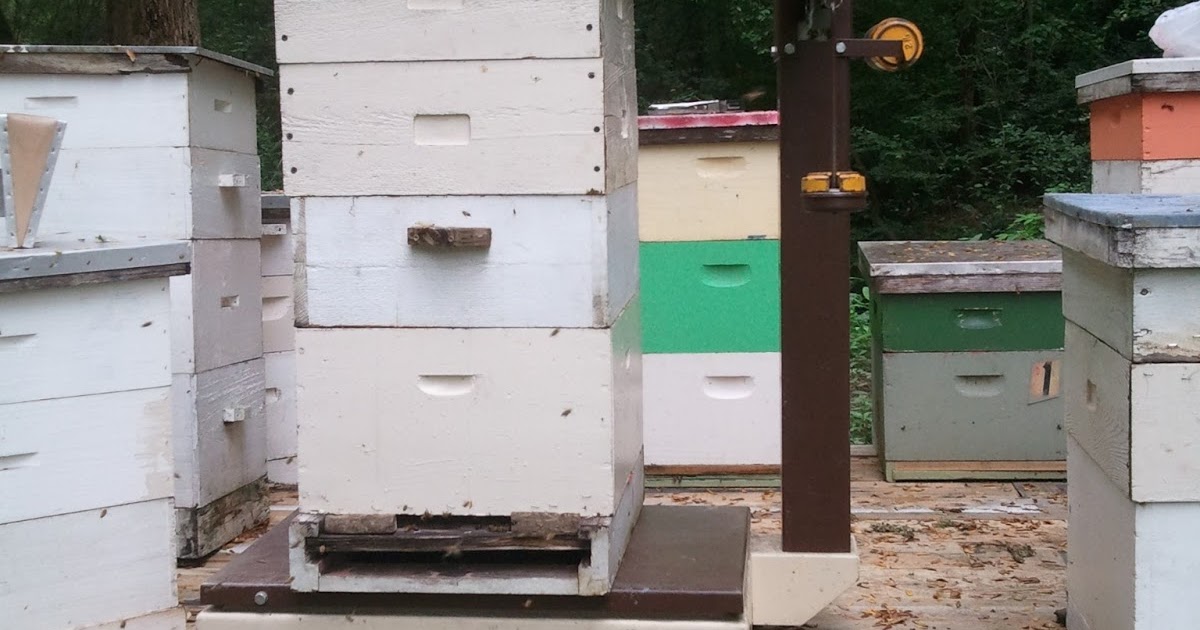 Mark's Farm Tochok: Weight scale for a bee hive