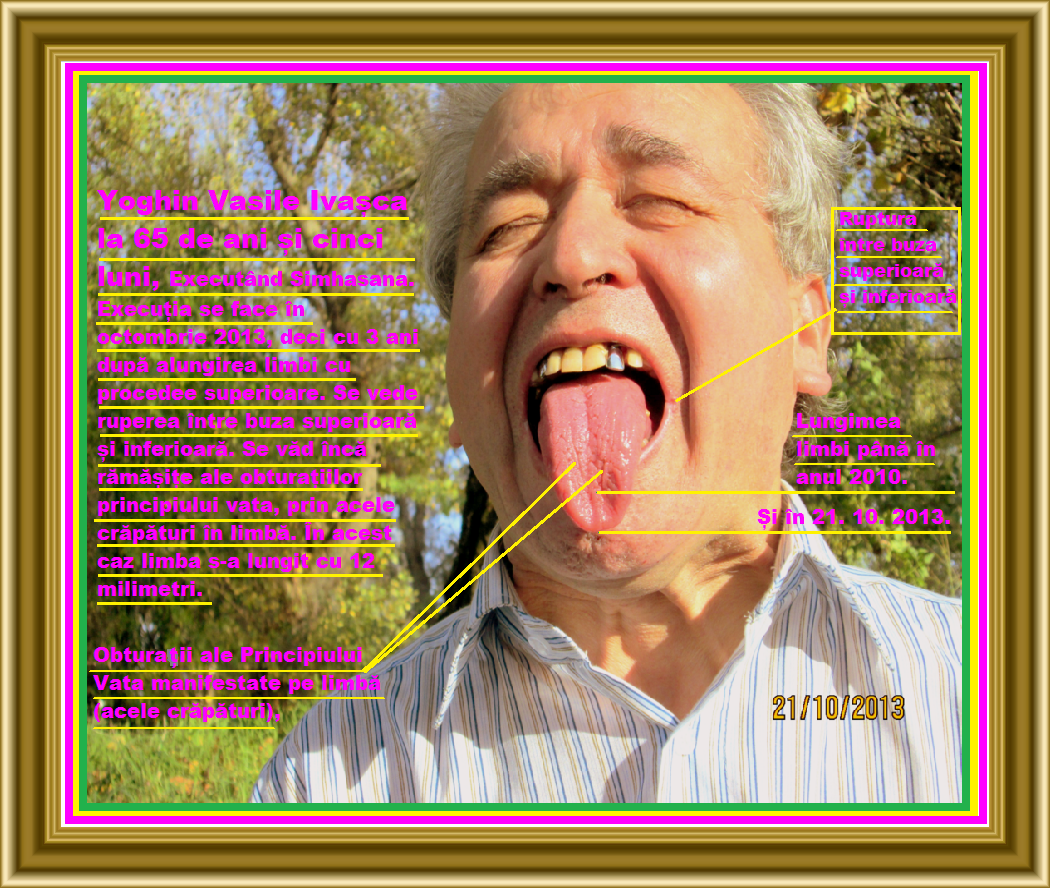 Vasile Ivașca. Yoga Marilor Zeii. Boli și blocaje ale corpului ...