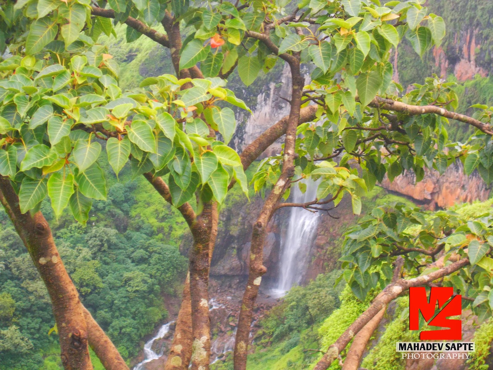 Satara - Mahabaleshwar - Pratapgad - Thoseghar -Kas Pathar & Sahyadri ...