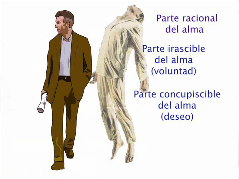 TEORÍAS Y SISTEMAS DE LA PSICOLOGÍA: ¿ Qué es el alma