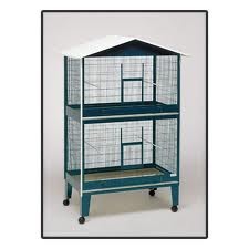 PARROTS FOR SALE: ΚΛΟΥΒΙΑ ΠΤΗΝΩΝ