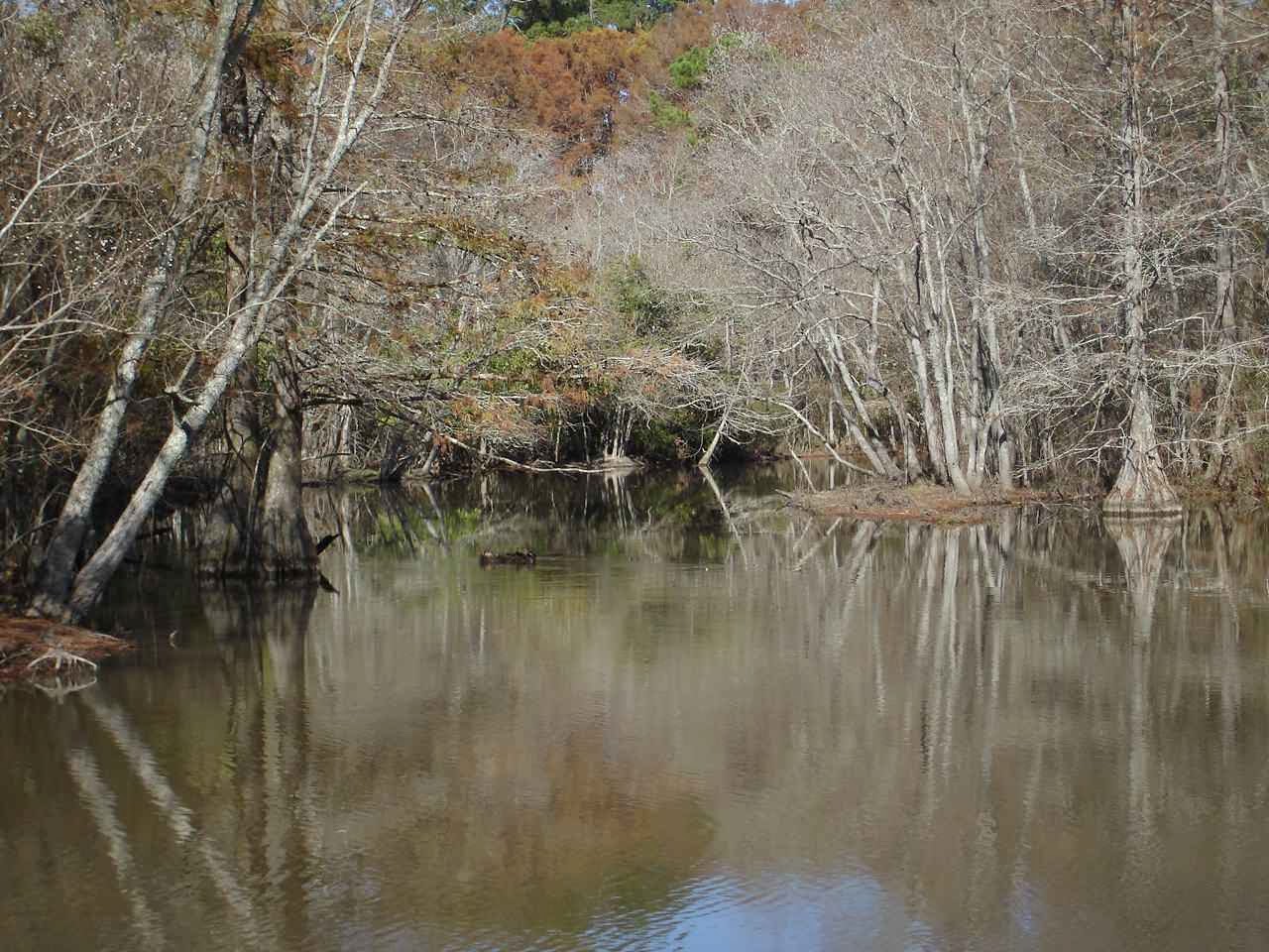 J and B and Lady Blue: B.A. Steinhagen Lake