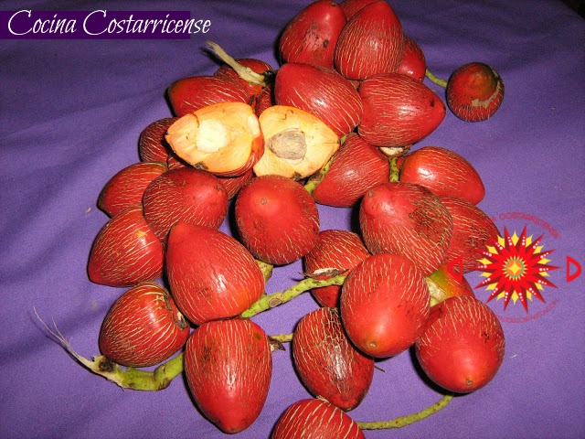 Cocina Costarricense: pejibayes