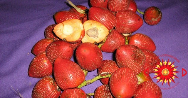 Cocina Costarricense: pejibayes