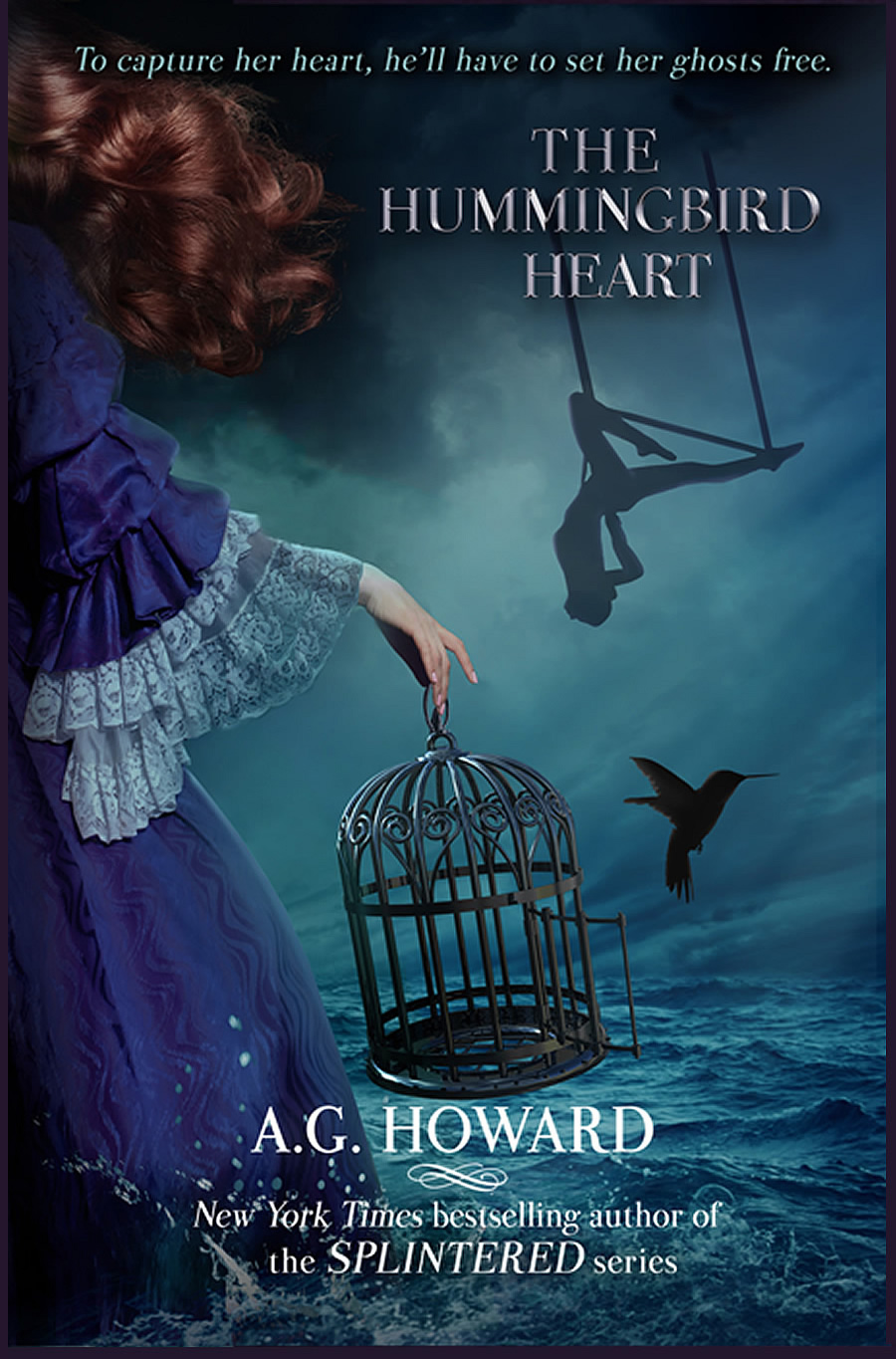 A Still and Quiet Madness ~A.G. Howard~: The Hummingbird Heart Six ...