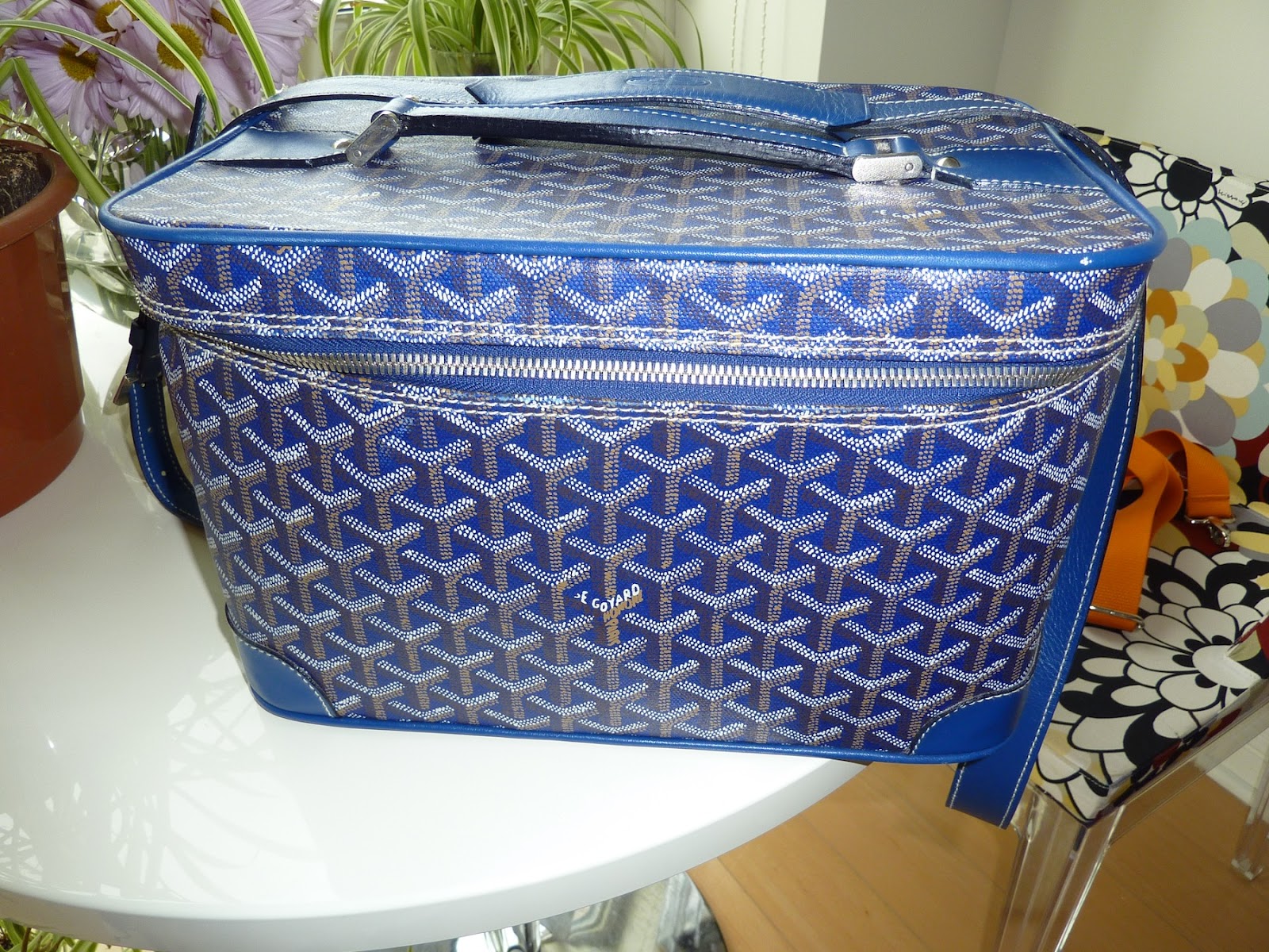 Musings of a Goyard Enthusiast: GOYARD Train or Beauty Case