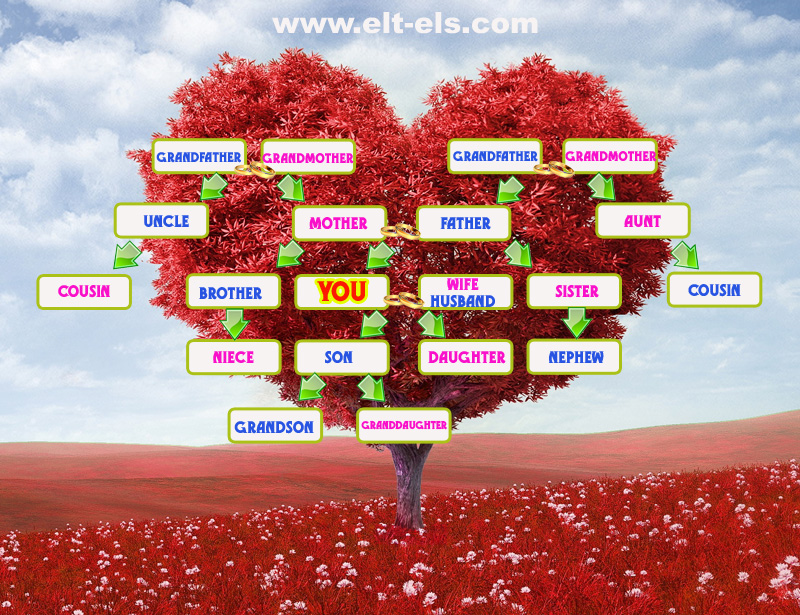 Family tree | www.elt-els.com