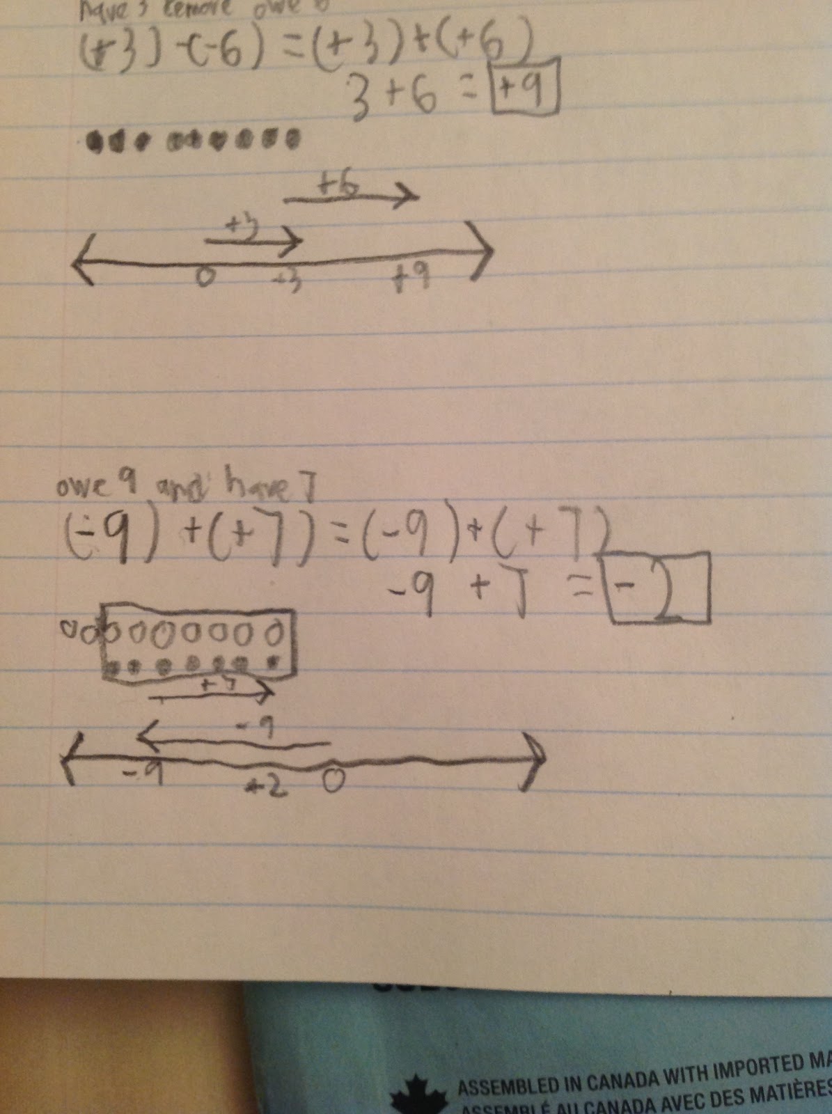 817 Math Blog (2012): Lance's Integer Scribe Post