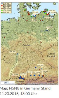 Avian Flu Diary: FLI Director - H5N8 `A Dynamic Process' & `Has A ...