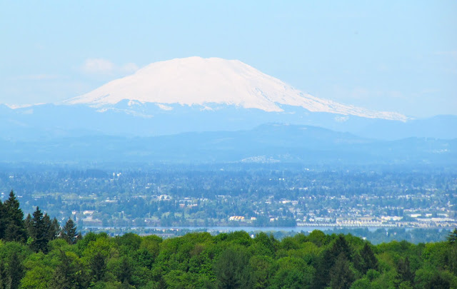 Teresa Kasner: Volcano, Portland, Farm & Flowers