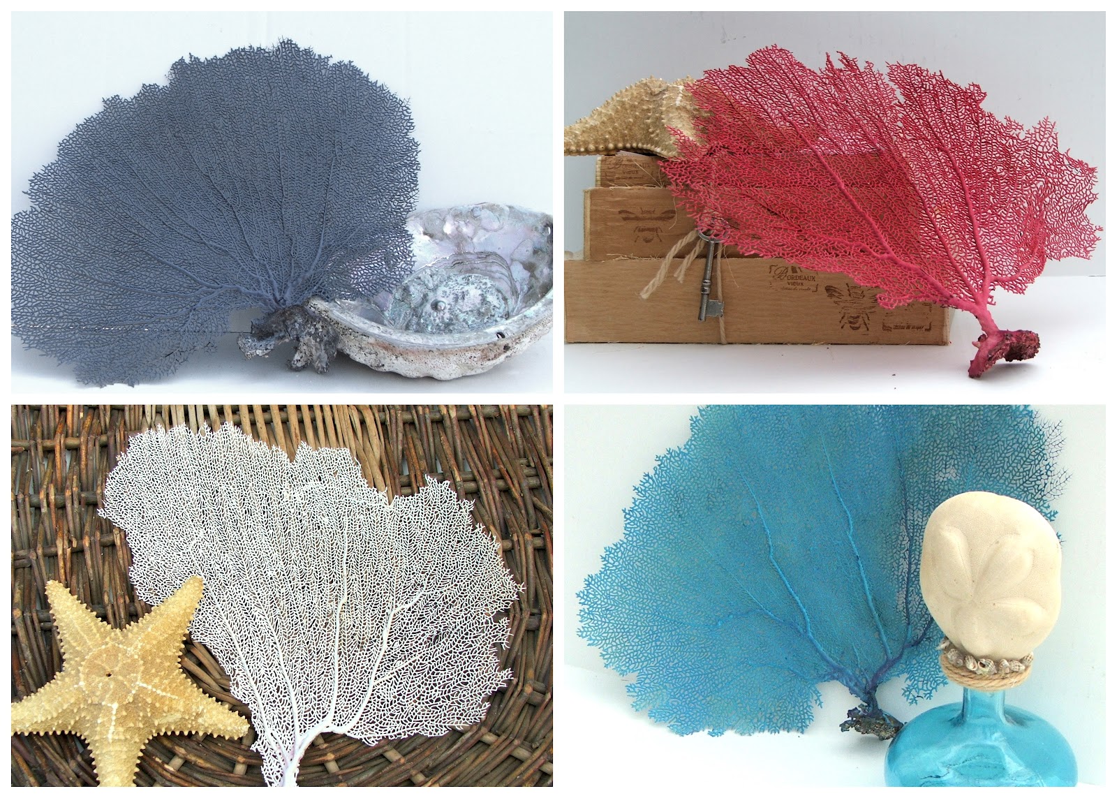 $2250...Really? Framed sea fans for sale - No Minimalist Here