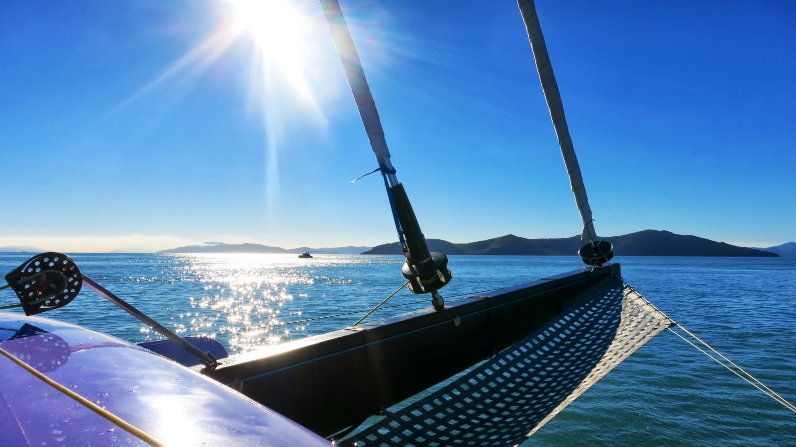 in 184 Tagen um die Welt: Withsundays mit der lila "Renn-"Kuh