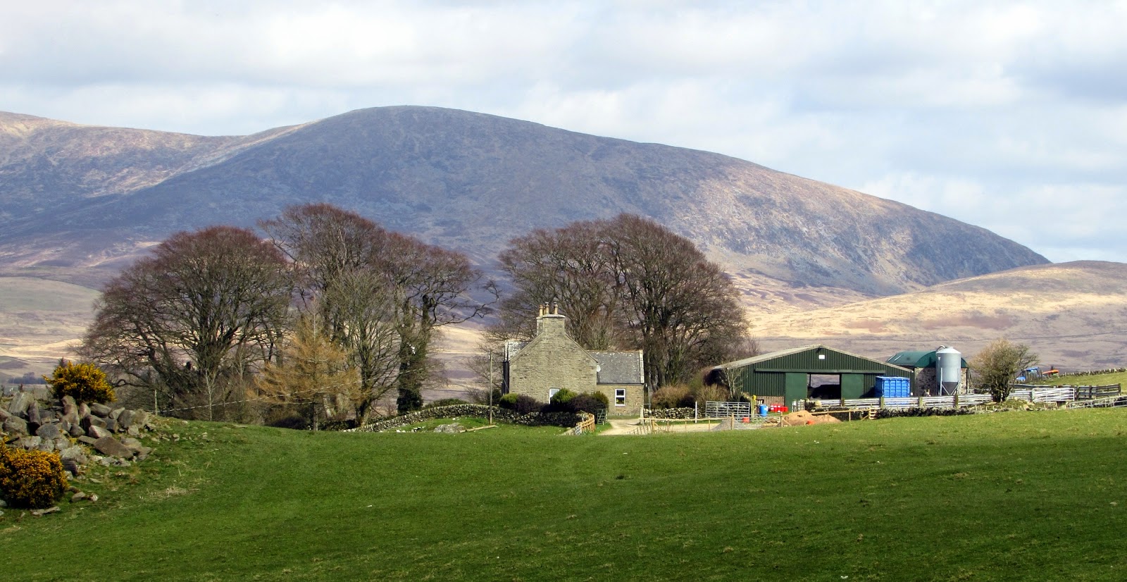 The Glebe Blog: Creetown to Kirkmabreck Quarry - Wigtown Walks and Talks