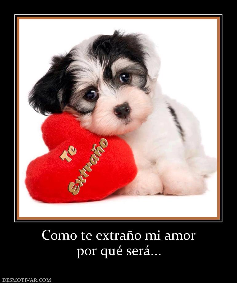 Imagenes de amor y frases de te extraño - IMÁGENES BONITAS de Amor ...