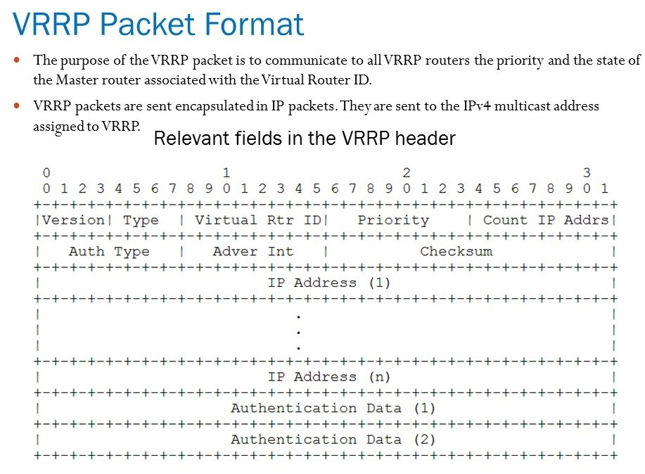 Networking And Scripting : Packet Formats to Remember