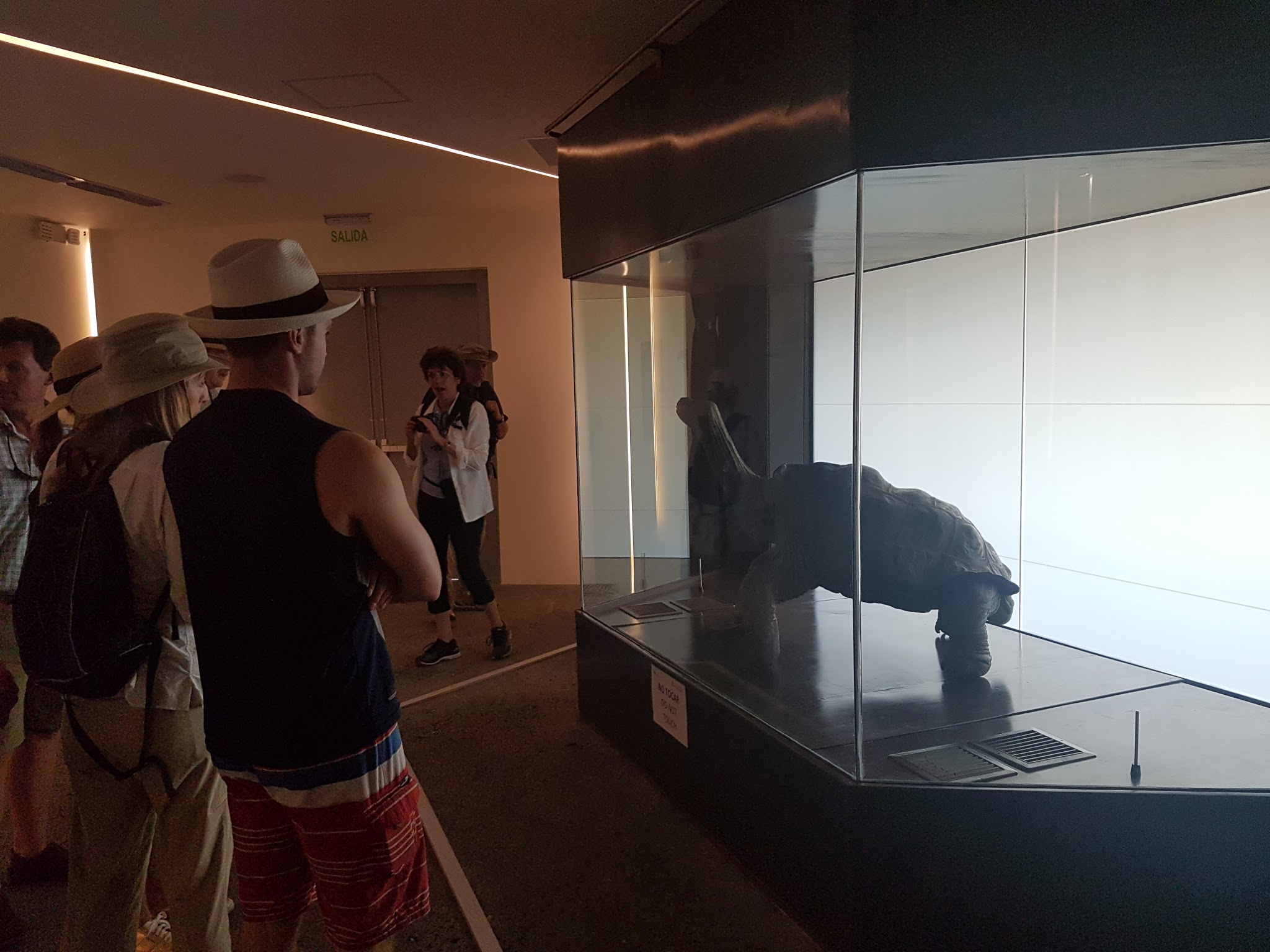 Dónde está el Solitario George, la tortuga más famosa de Galápagos