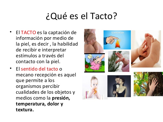 LOS SENTIDOS: EL TACTO ~ MY ENGLISH AND SCIENCE