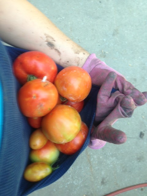 It Freezes Beautifully: 7 Quick Takes {10} - Self Tanning Disasters