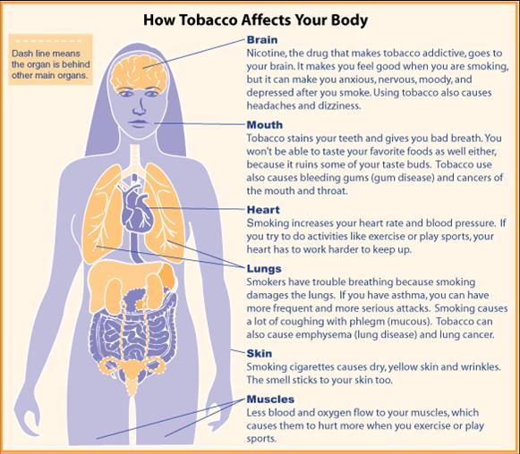 Beauty Tips & Personal Health Care: Negative Effects of Tobacco on ...