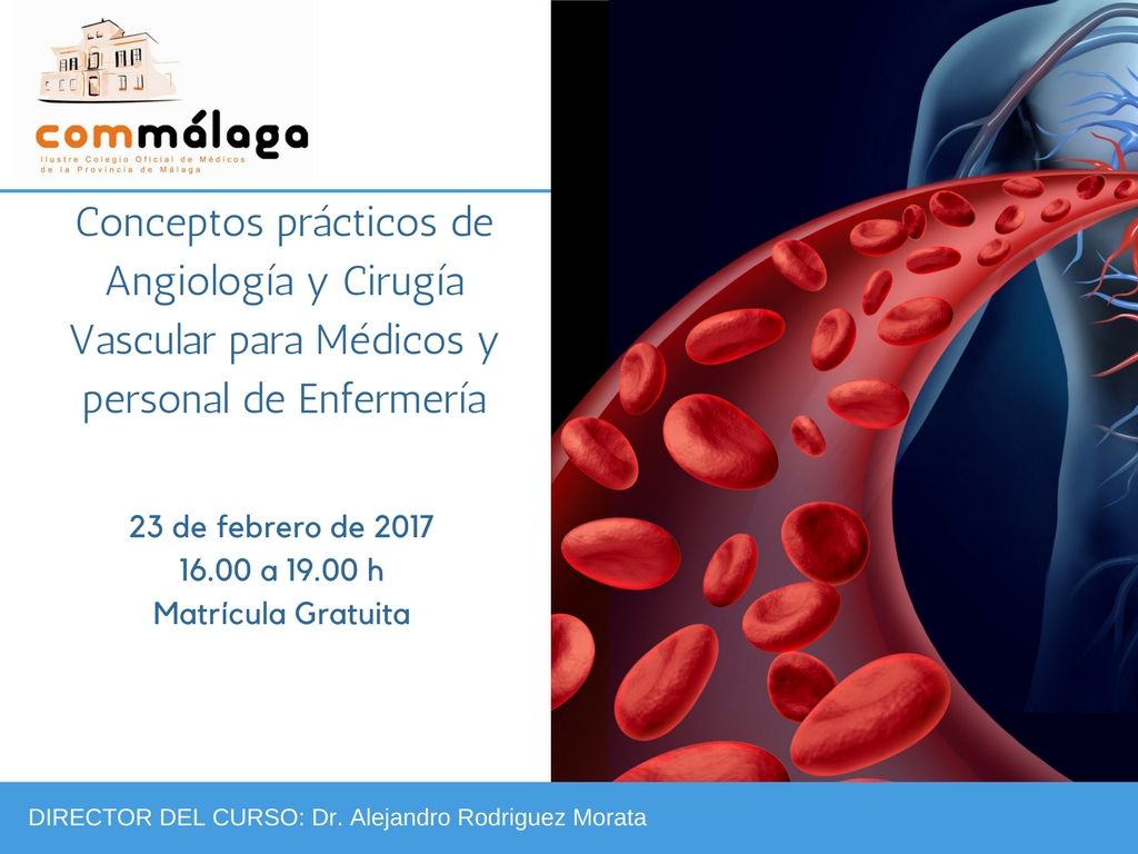 Cuaderno de Galenos: Curso sobre Conceptos Prácticos de Angiología y ...