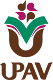 UPAV: UPAV COATZACOALCOS