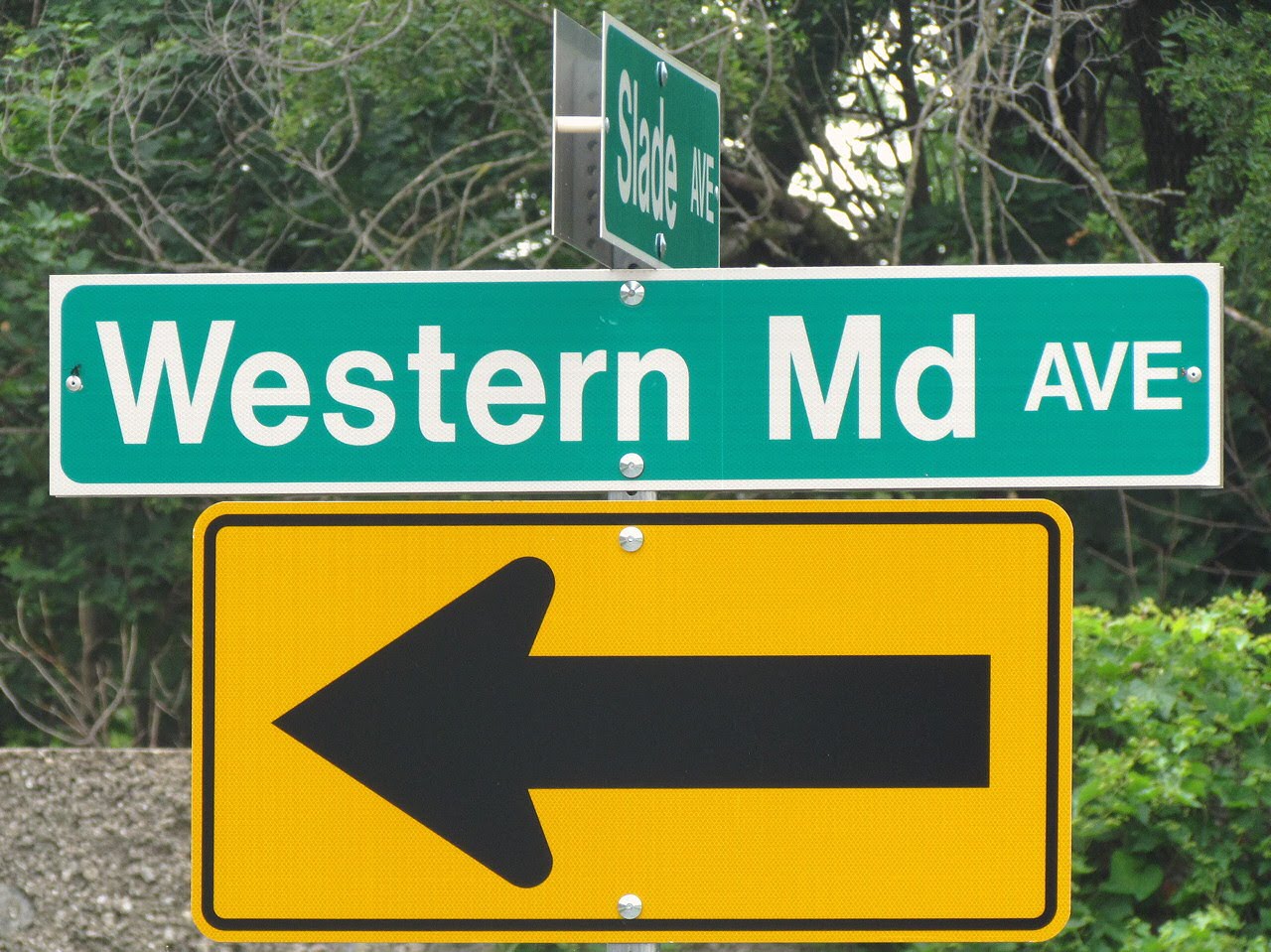 Jersey Mike's Rail Adventures: 17-06-18 PHOTOS: Baltimore Link