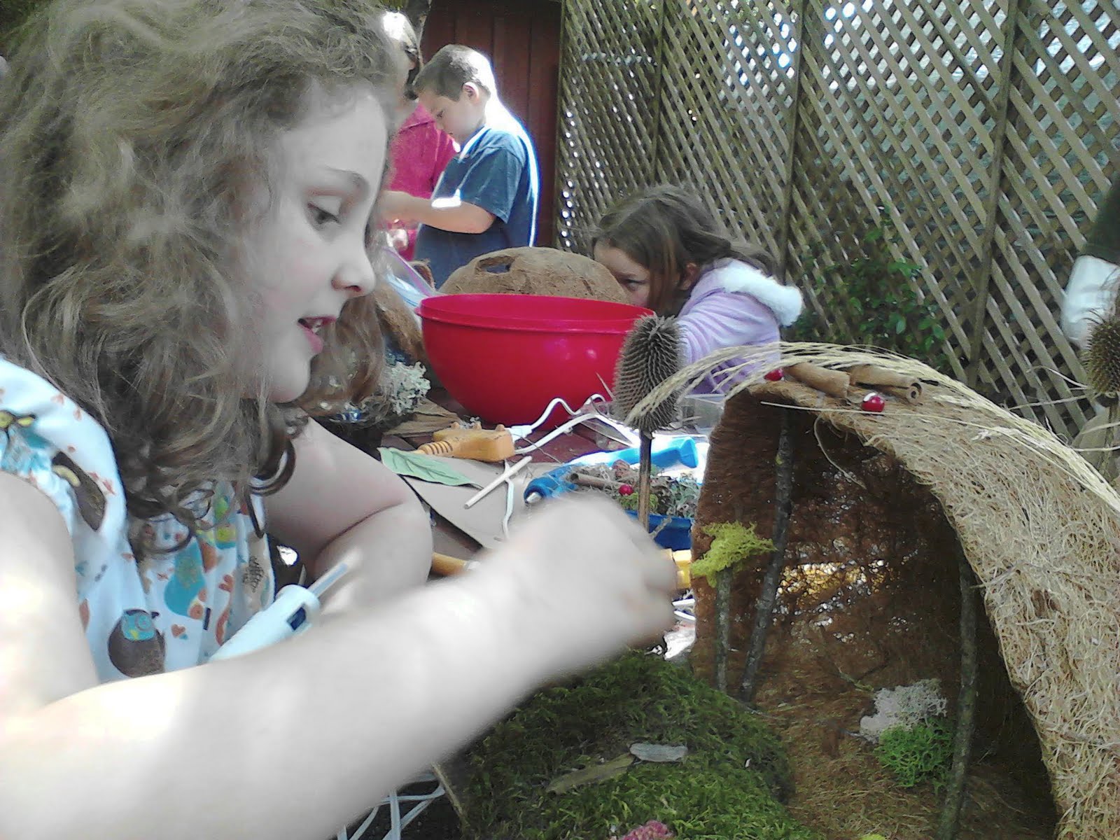 Our Small Corner: Fairy Houses and Owl Pellets...