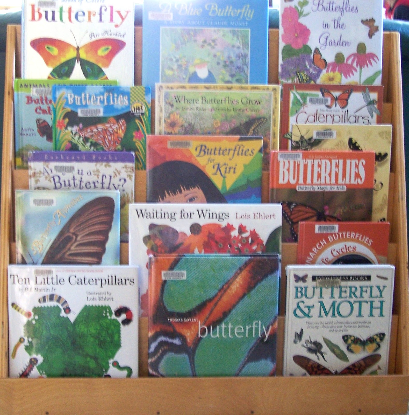 madebyjoey: home learning - butterflies