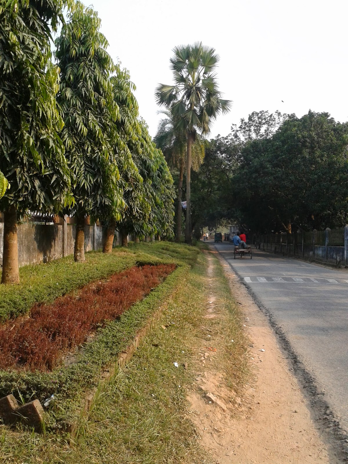 Mahasthangarh: Picture