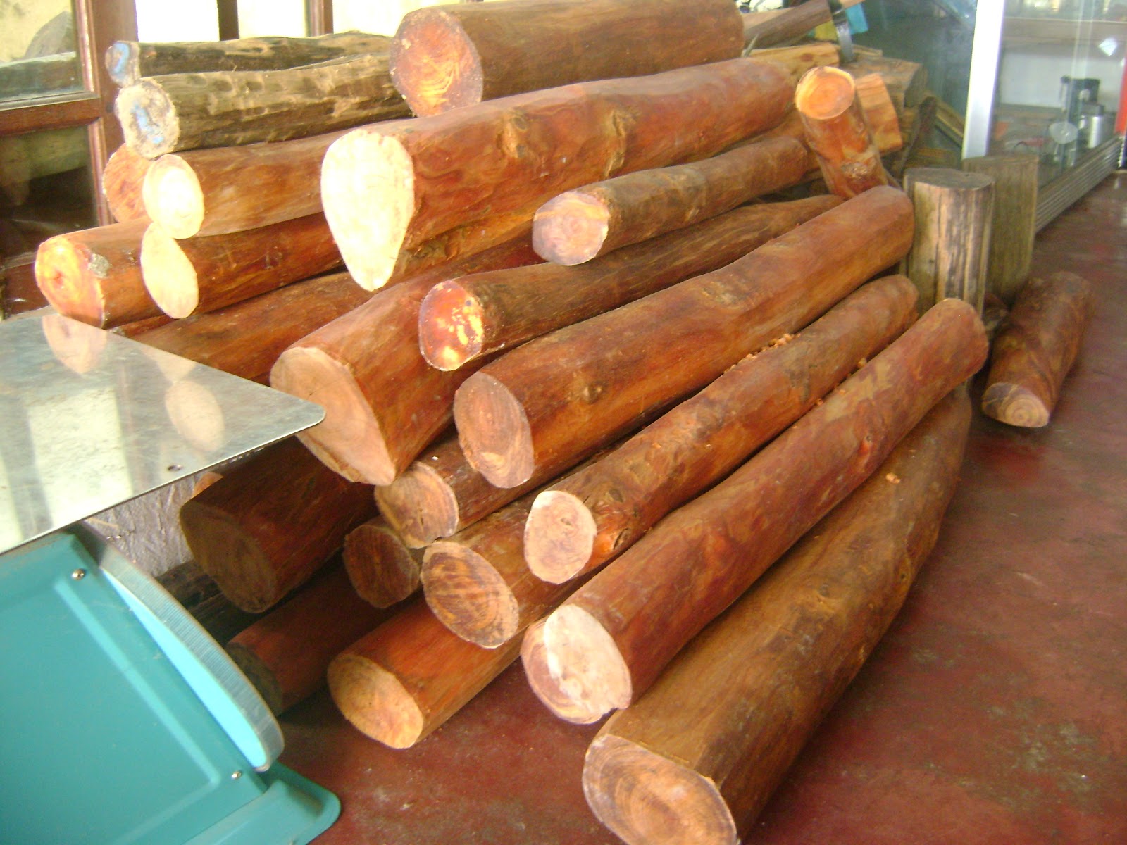 SUPPLIER KOMODITI HASIL ALAM ( Herbal, Aroma,handycraft): KAYU RAJA ...