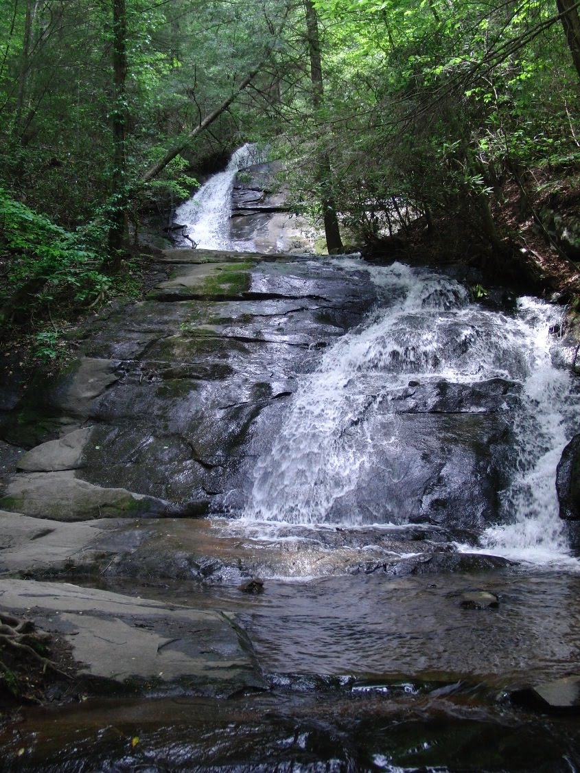 The Days of Johann, an agility dog!: Hiking the Benton MacKaye and ...