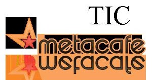 BLOGTRABAJOSINVESTIGACIONTIC2.0: ®Metacafe