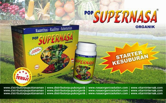 Supernasa 3kg - Tehnik Budidaya Sawit - Pengendalian Hama Penyakit Sawit