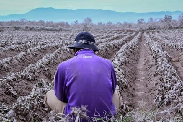 Sinamu Rungus: Puluhan Petani India Bunuh Diri Kerana Hujan Lebat