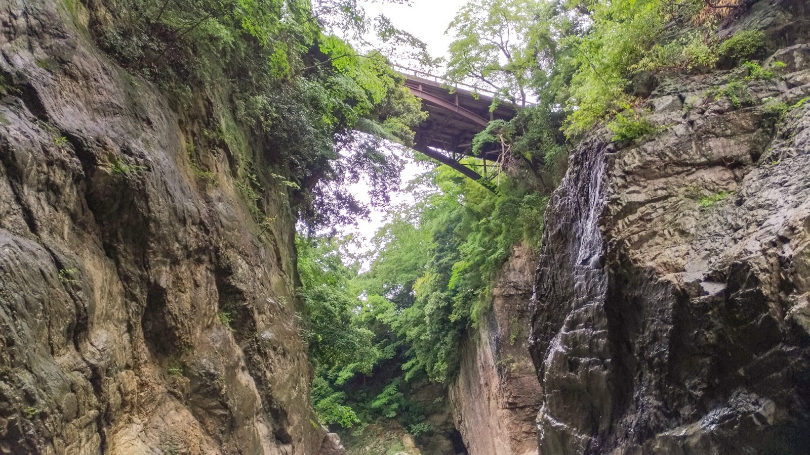 Saruhashi – the Monkey Bridge (Otsuki City) | Life in Yamanashi - Home ...