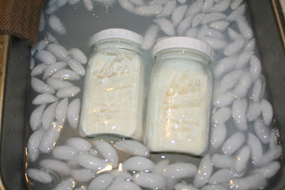 Brooding On: Easy Home Pasteurization Process