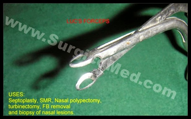 Luc's Forceps