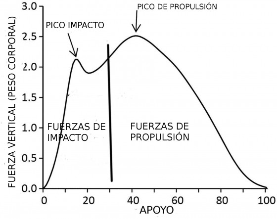 BLOG DE EDUCACIÓN FÍSICA por Jesús Madrid Boyero: LAS DIFERENTES FORMAS ...