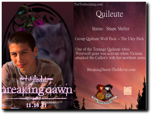 Twilight Pack: New Quileutes will be in LA Breaking Dawn Premiere