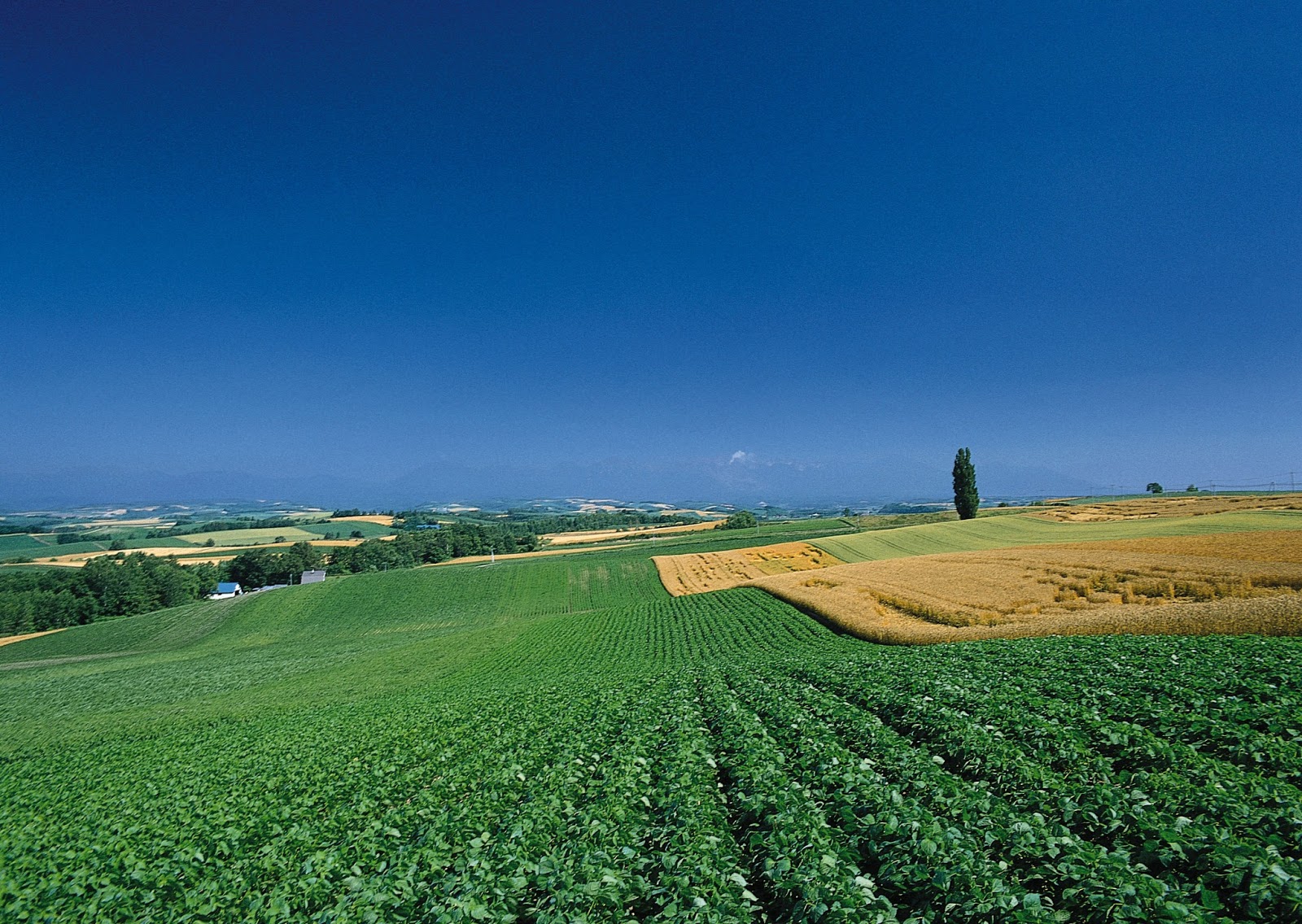 Our Beautiful World: Four season landscape