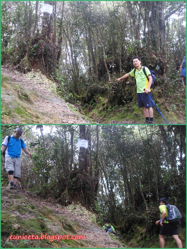 Bits and Pieces: Climbing Pine Tree Hill & Twin Peak