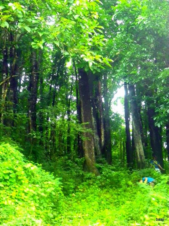 from place to place: Mount Porras and SNP