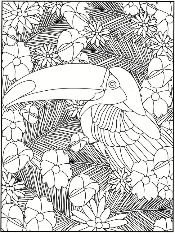 Fichas de Primaria: Dibujos para colorear